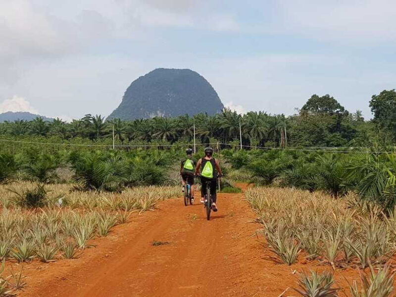 Krabi: Eco-Cycling Tour with Nature, Culture, and Fun - Final Thoughts