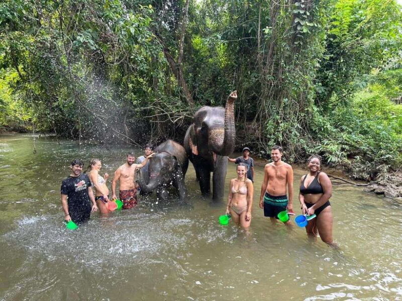 Krabi Elephant bathing and Atv adventure (30min/30min) - A Close Look at the Elephant Bathing and ATV Tour in Krabi
