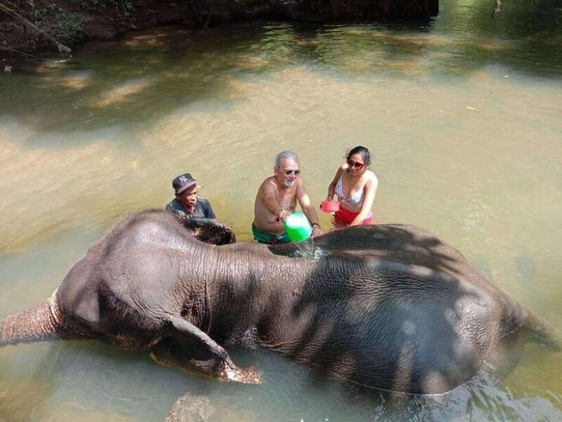 Krabi Elephant bathing and Atv adventure (30min/30min) - Who Should Consider This Tour?