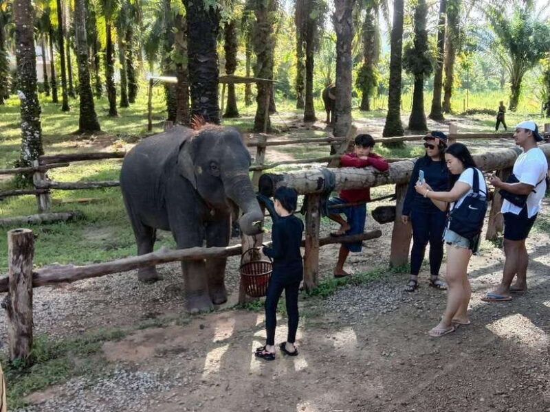 Krabi Elephant bathing and Atv adventure (30min/30min) - The Sum Up