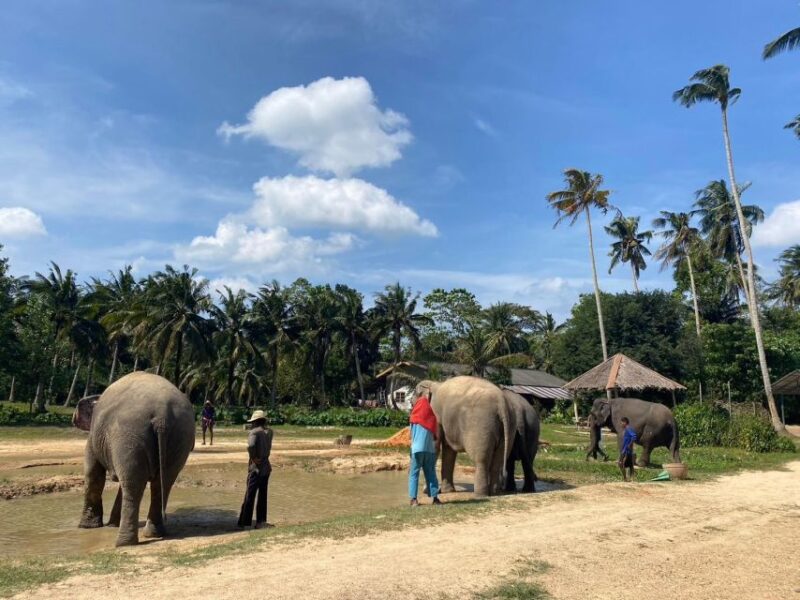 Krabi: Elephant Bathing and Huay Tho Waterfall Day Trip - Detailed Breakdown of the Itinerary