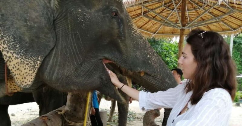 Krabi: Elephant Bathing and Huay Tho Waterfall Day Trip - What the Reviews Say