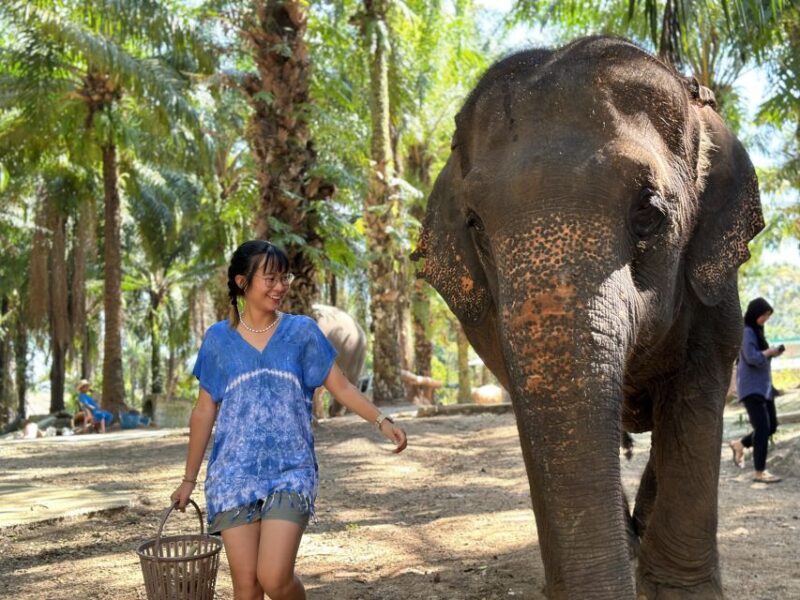 Krabi: Elephant Bathing Session at Krabi Elephant Shelter - Key Points