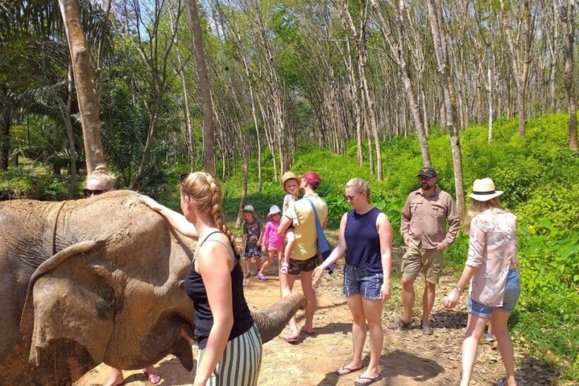 Krabi: Elephant Care House & 7-Level Huay Tho Waterfall Trip - Deep Dive: What Makes This Tour Stand Out?