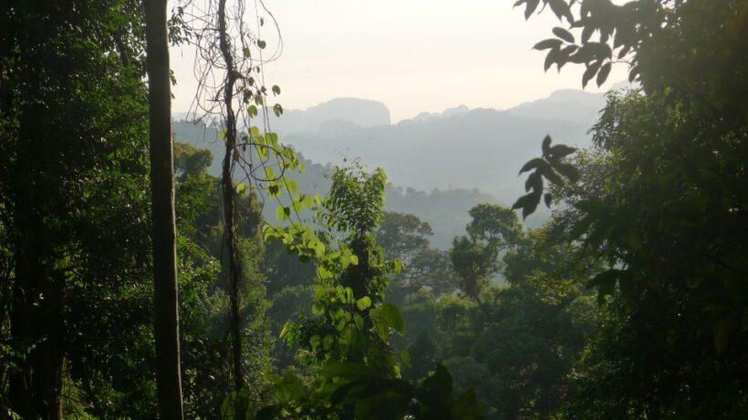 Krabi: Elephant Care House & 7-Level Huay Tho Waterfall Trip - Practical Tips for Travelers