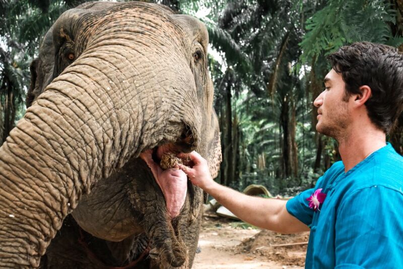 Krabi: Elephant Feeding Program - Accessibility and Practical Considerations