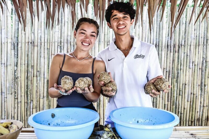 Krabi: Elephant Feeding Program - Who Will Love This Tour?