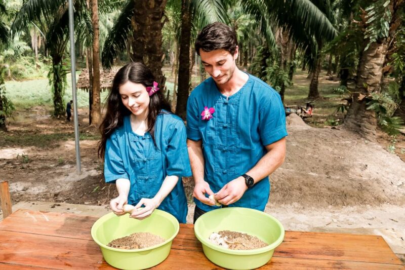 Krabi: Elephant Feeding Program - The Sum Up