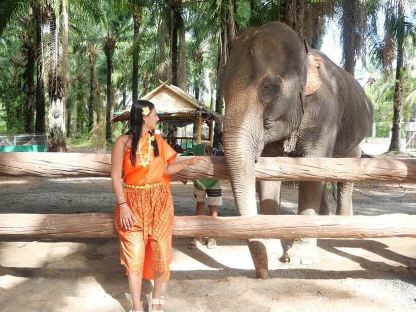 Krabi: Elephant Feeding Program with Traditional Thai Dress - What to Expect at Krabi Elephant Shelter