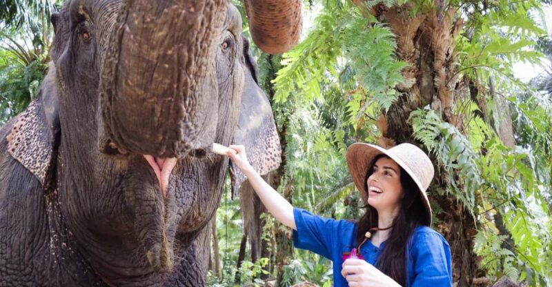 Krabi: Elephant Shelter and Khaothong Hills (Private Tour) - What Sets This Tour Apart