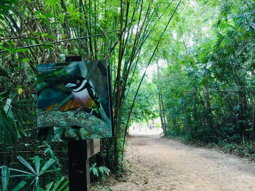 Krabi: Emerald Pool and Hot Spring Waterfall with ATV Riding - Final Thoughts