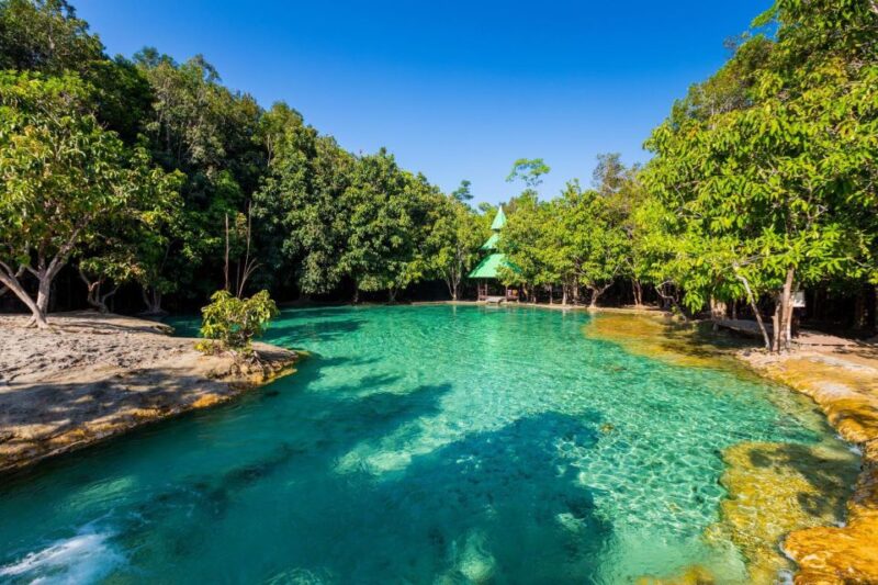 Krabi: Emerald Pool and Hot Springs Waterfall Half-Day Trip - The Realities of the Tour: Pros and Cons