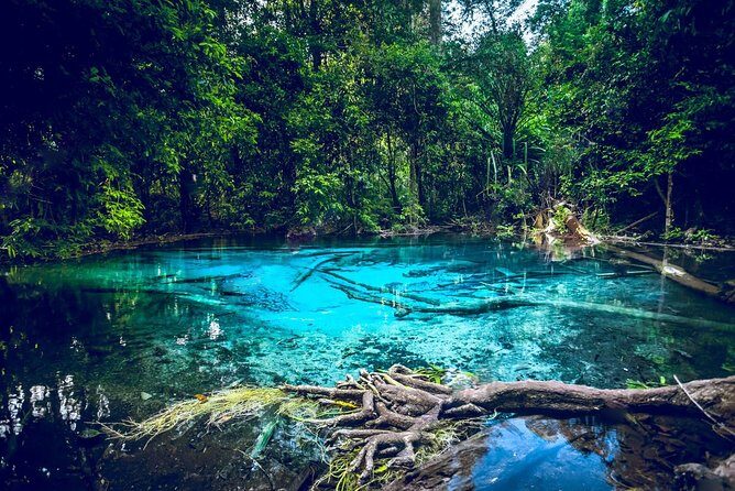 Krabi Emerald Pool, Hot Spring and Tiger Temple - An In-Depth Look at the Tour Experience