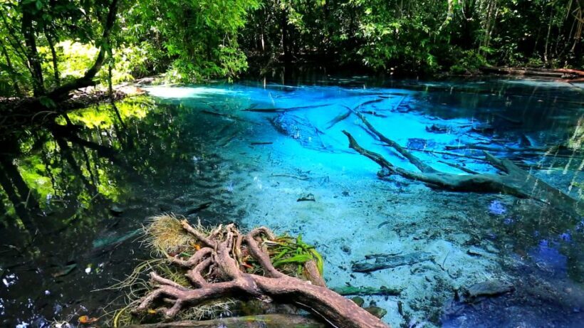 Krabi: Emerald Pool & Hot Spring Waterfall with Kayaking - Key Points