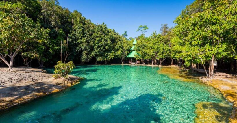 Krabi: Emerald Pool & Hot Spring Waterfall with Kayaking - Final Thoughts