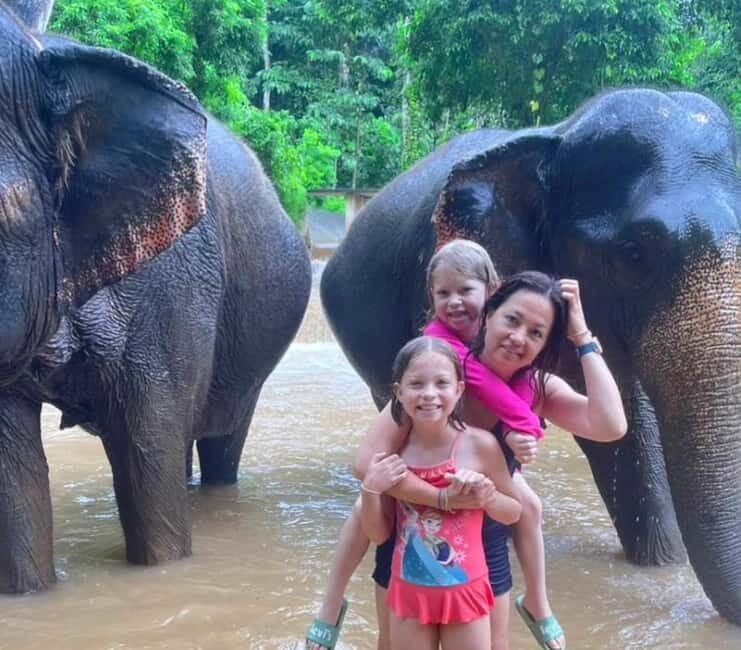 Krabi: Ethical Elephant Care Experience with Hotel Transfer - Watching Elephants Play and Interact