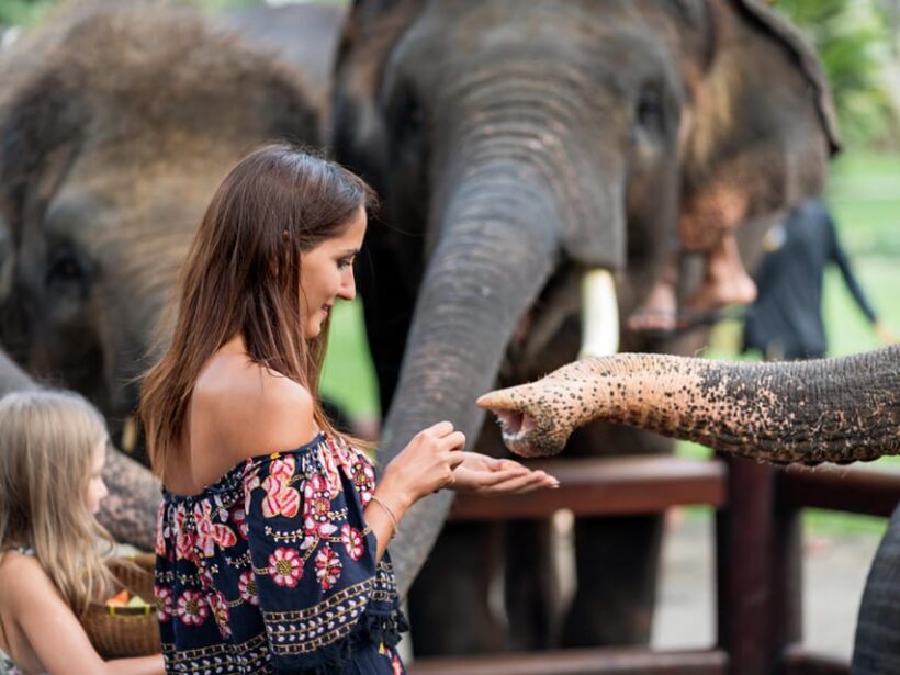 Krabi: Ethical Elephant Care Experience with Hotel Transfer - Who Should Consider This Tour?
