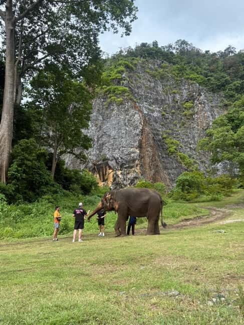 Krabi: Ethical Elephant Sanctuary & Tiger Cave Temple Tour - An In-Depth Look at the Experience
