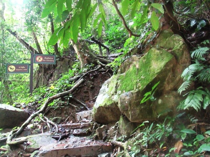 Krabi: Exploring Krabis Hidden Gems Adventure Day Tour - What We Loved & What to Keep in Mind