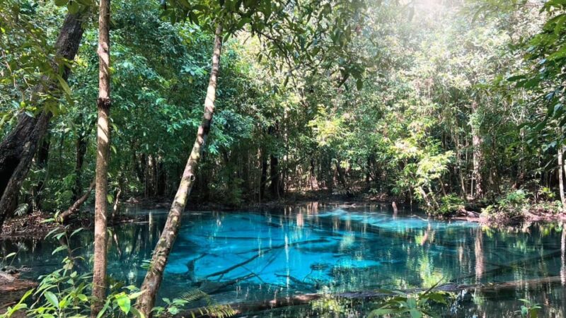 Krabi: Full-Day Car and Driver Charter - The Sum Up