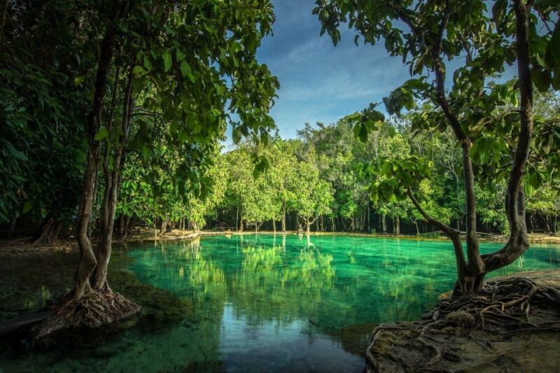 Krabi: Full-Day Jungle Cycling and Emerald Pool Tour - The Sum Up