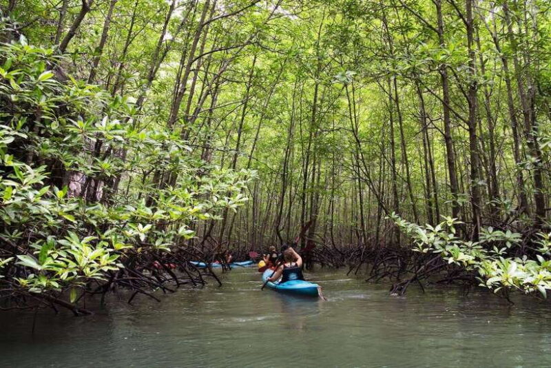 Krabi: Golden Hour Kayaking in Din Daeng's Mangrove Maze - The Overall Value and Practical Considerations