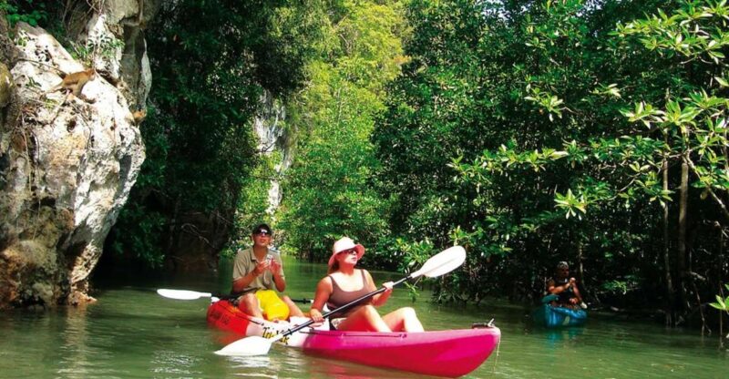 Krabi: Guided Kayaking Tour at Ao Thalane - The Itinerary in Detail
