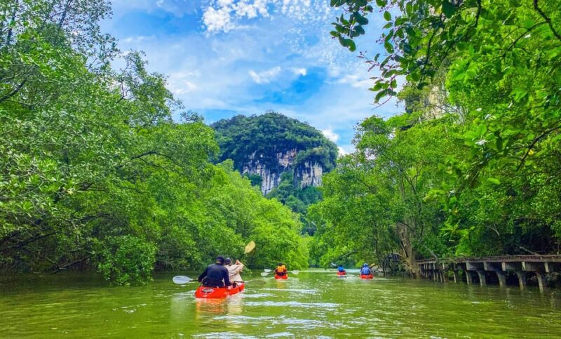 Krabi: Half-Day Bor Thor Mangrove Kayaking Tour - The Experience: What Travelers Say