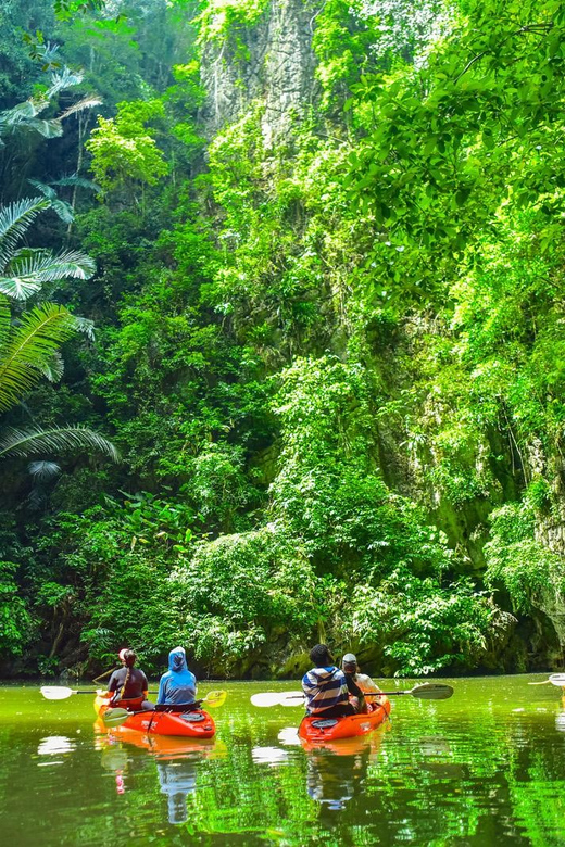 Krabi: Half-Day Bor Thor Mangrove Kayaking Tour - The Value: Is It Worth It?