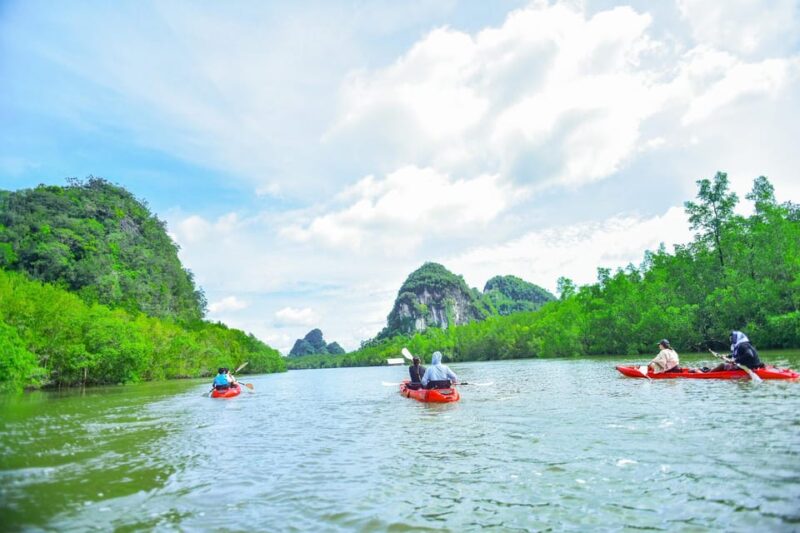 Krabi: Half-Day Bor Thor Mangrove Kayaking Tour - Who Would Enjoy This Tour?