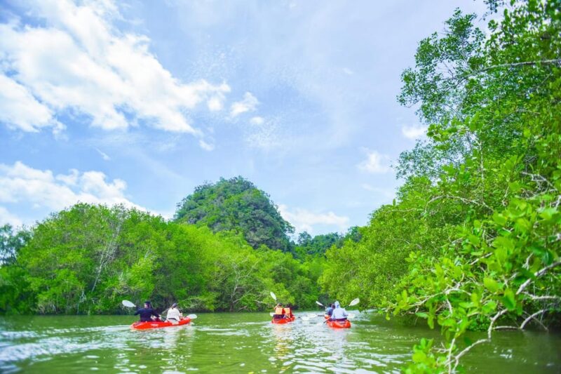 Krabi: Half-Day Bor Thor Mangrove Kayaking Tour - FAQ