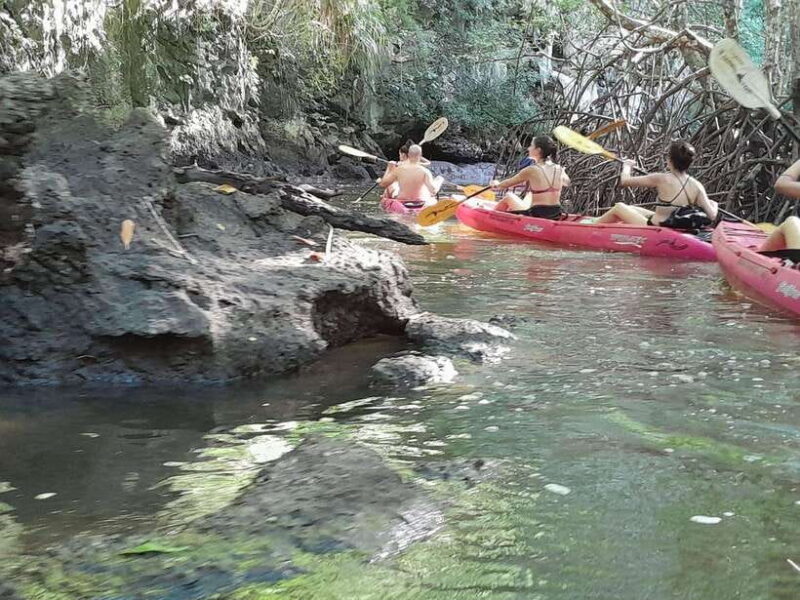 Krabi: Half-day Kayak at Ao Thalane (Group of 10 maximum) - FAQs