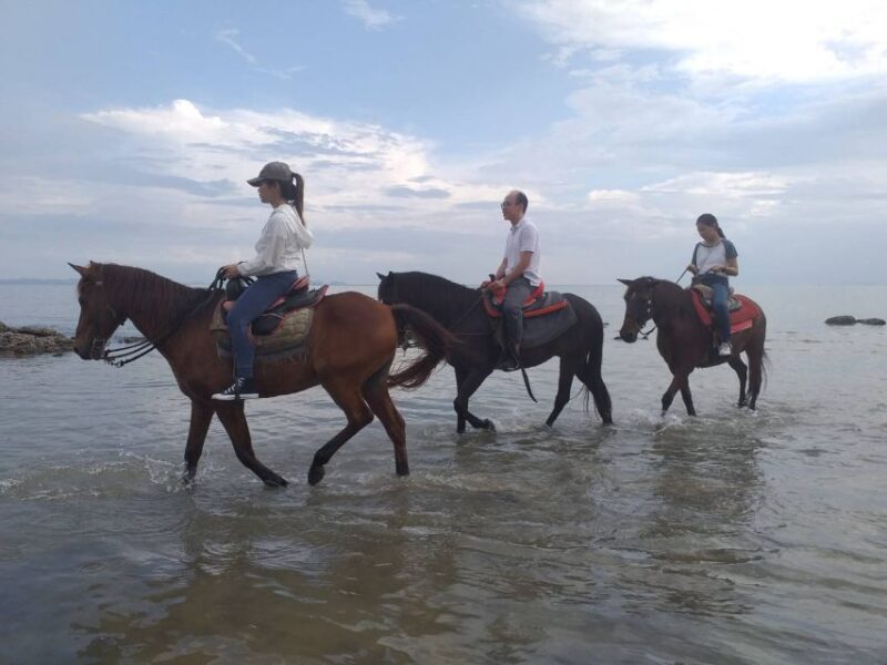 Krabi: Half-Day Kayaking and Horseback Riding Excursion - Final Thoughts: Who Should Consider This Tour?