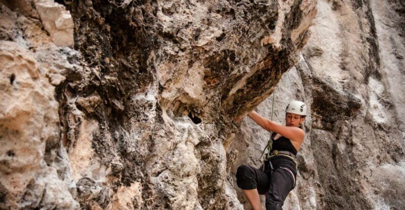Krabi: Half-Day Rock Climbing at Railay Beach - Additional Details That Matter