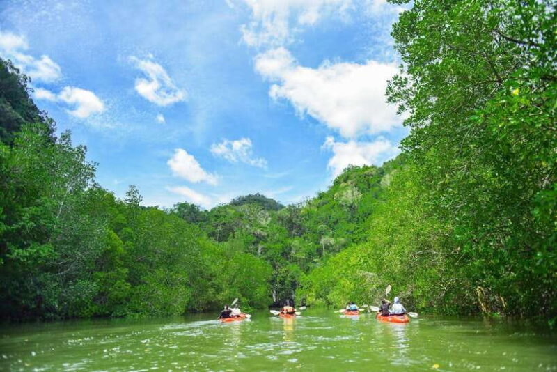Krabi: Hidden Mangrove Kayaking Tour with Optional Extras - The Itinerary Breakdown