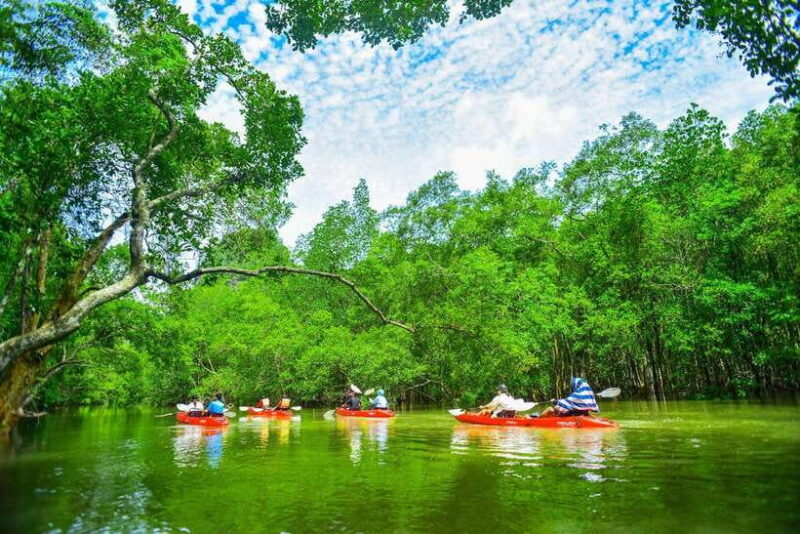 Krabi: Hidden Mangrove Kayaking Tour with Optional Extras - The Sum Up: Is This Tour for You?