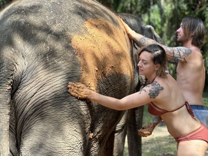 Krabi: Highlights Tour with Krabi Elephant Shelter - Key Points
