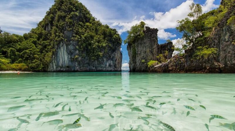 Krabi: Hong Islands Day Tour by Longtail Boat - Who Will Love This Tour?