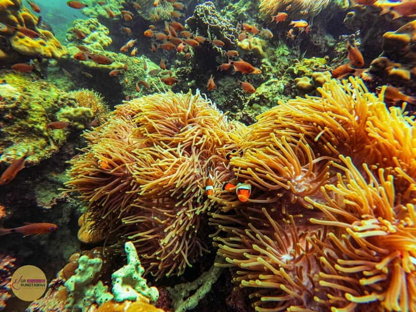 Krabi: Hong Islands Sunset, Bioluminescent Plankton and BBQ - An In-Depth Look at the Tour Experience
