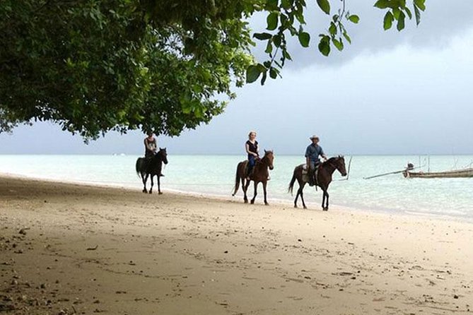 Krabi Horse Riding at The Beach - The Group Size & Safety Measures