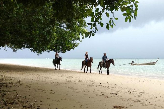 Krabi Horse Riding at The Beach - Practical Tips for Travelers