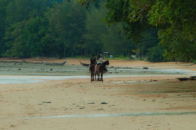 Krabi Horse Riding at The Beach - Cost & Value