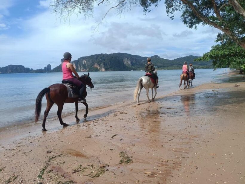 Krabi Horse Riding on the Beach and atv Extreme - Key Points