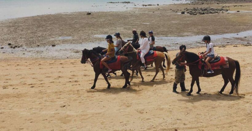 Krabi: Horseback Riding on the Beach - The Ride Options: How to Choose