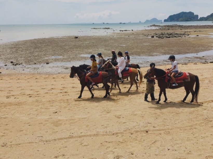 Krabi: Horseback Riding on the Beach - FAQ