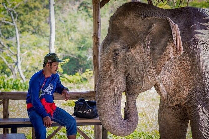 Krabi Immersive Elephant Sanctuary Experience - Authenticity, Education, and Animal Welfare