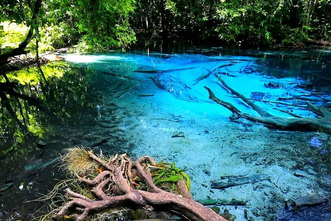 Krabi Jungle Tour with ATV Riding - An Overview of the Tour Experience