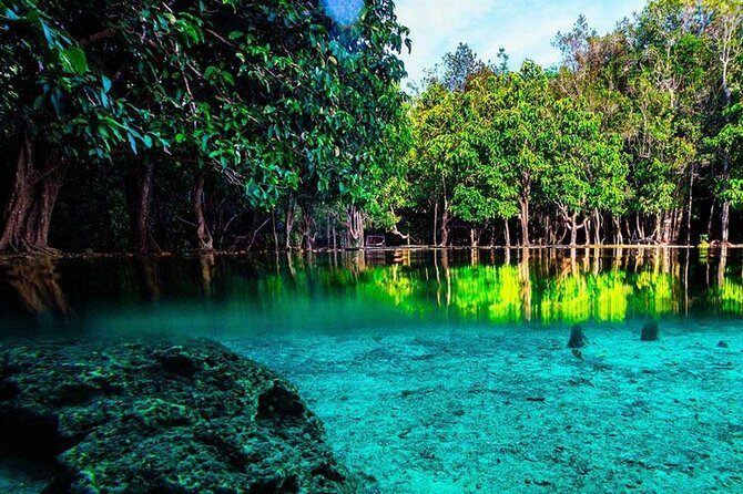 Krabi Jungle Tour with Kayaking at Ao Thalan - What You Can Expect from This Tour