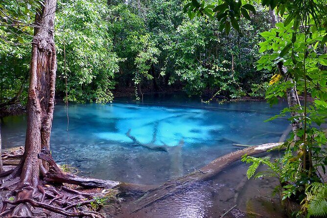 Krabi Jungle Tour:Hot Spring Waterfall,Emerald Pool & Tiger Cave - A Closer Look at the Krabi Jungle Tour