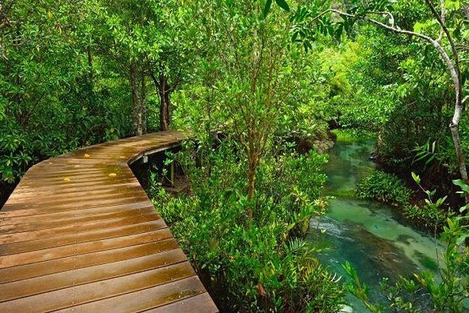 Krabi Jungle Tour:Krabi Hot Springs Waterfall,Emerald Pool and Tiger Cave Temple - Final Thoughts